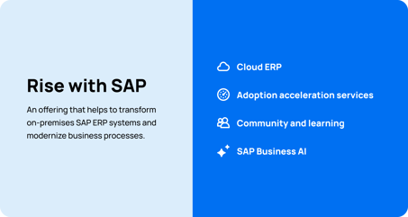 GROW with SAP vs. RISE with SAP: Key Differences Explained